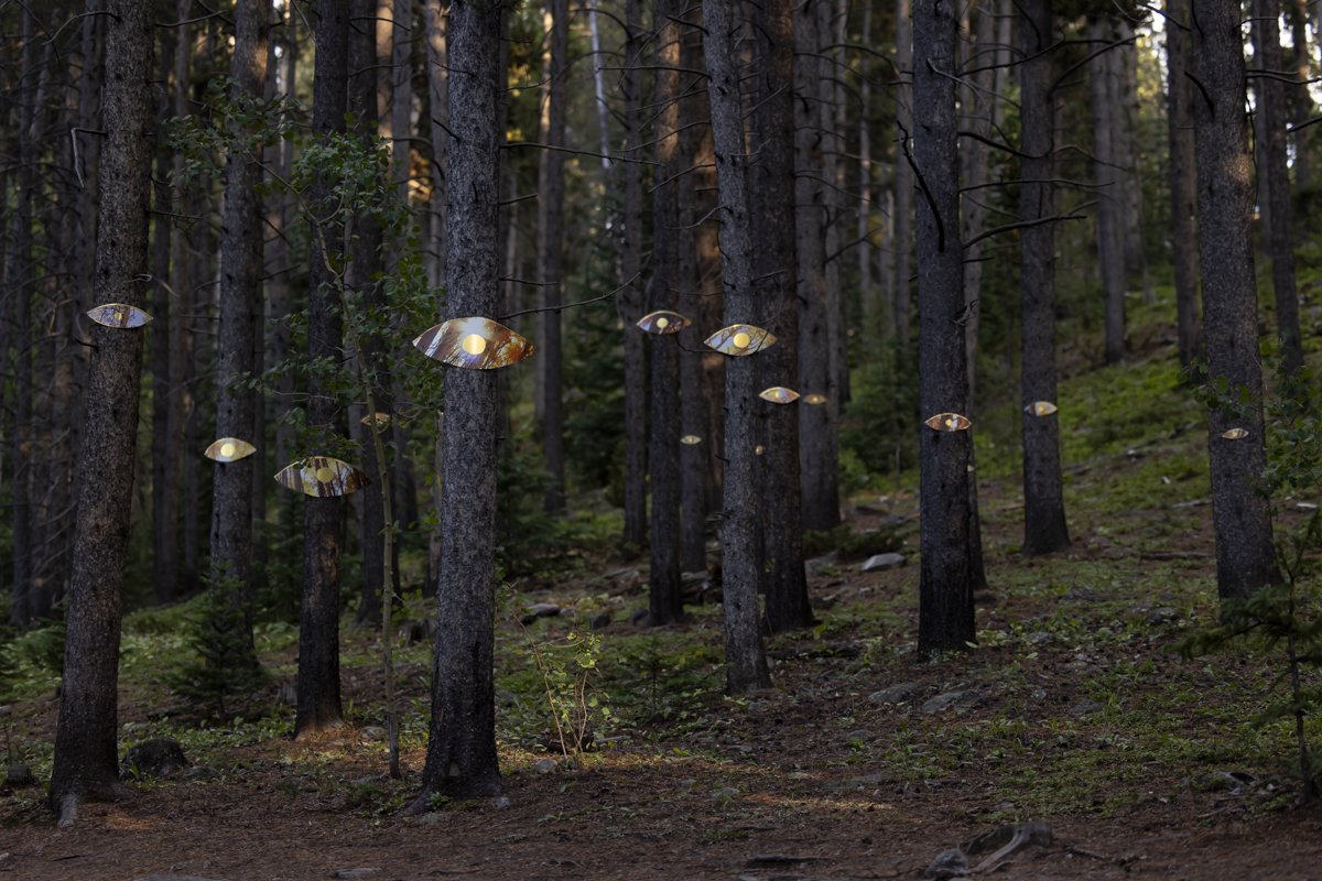 Soft Gaze — CAMILLE HOFFMAN