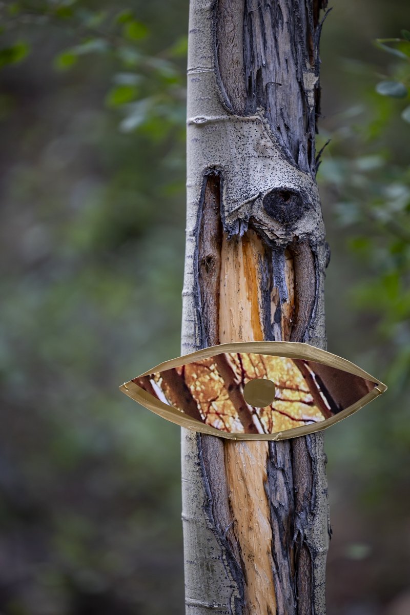 Soft Gaze — CAMILLE HOFFMAN