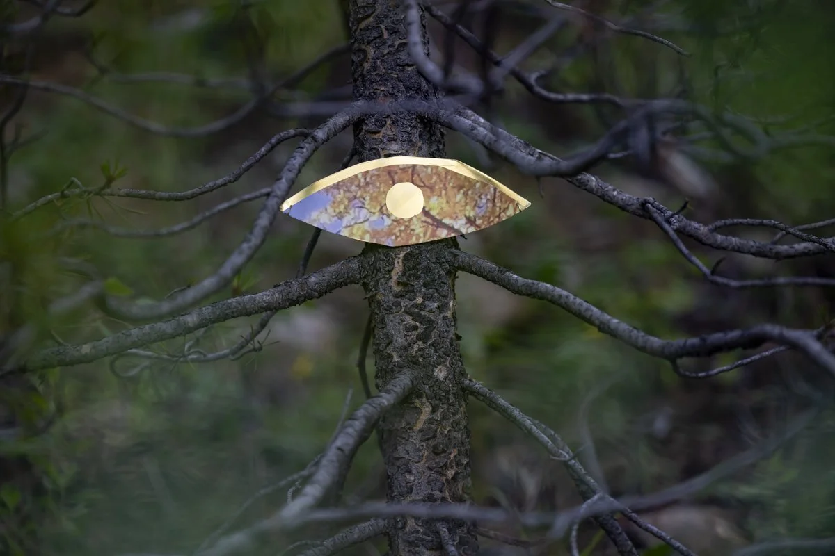 Soft Gaze — CAMILLE HOFFMAN