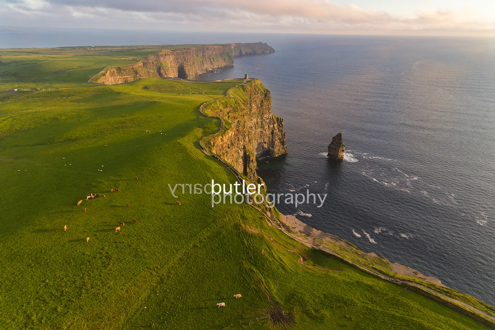 Ireland Photography Cliffs