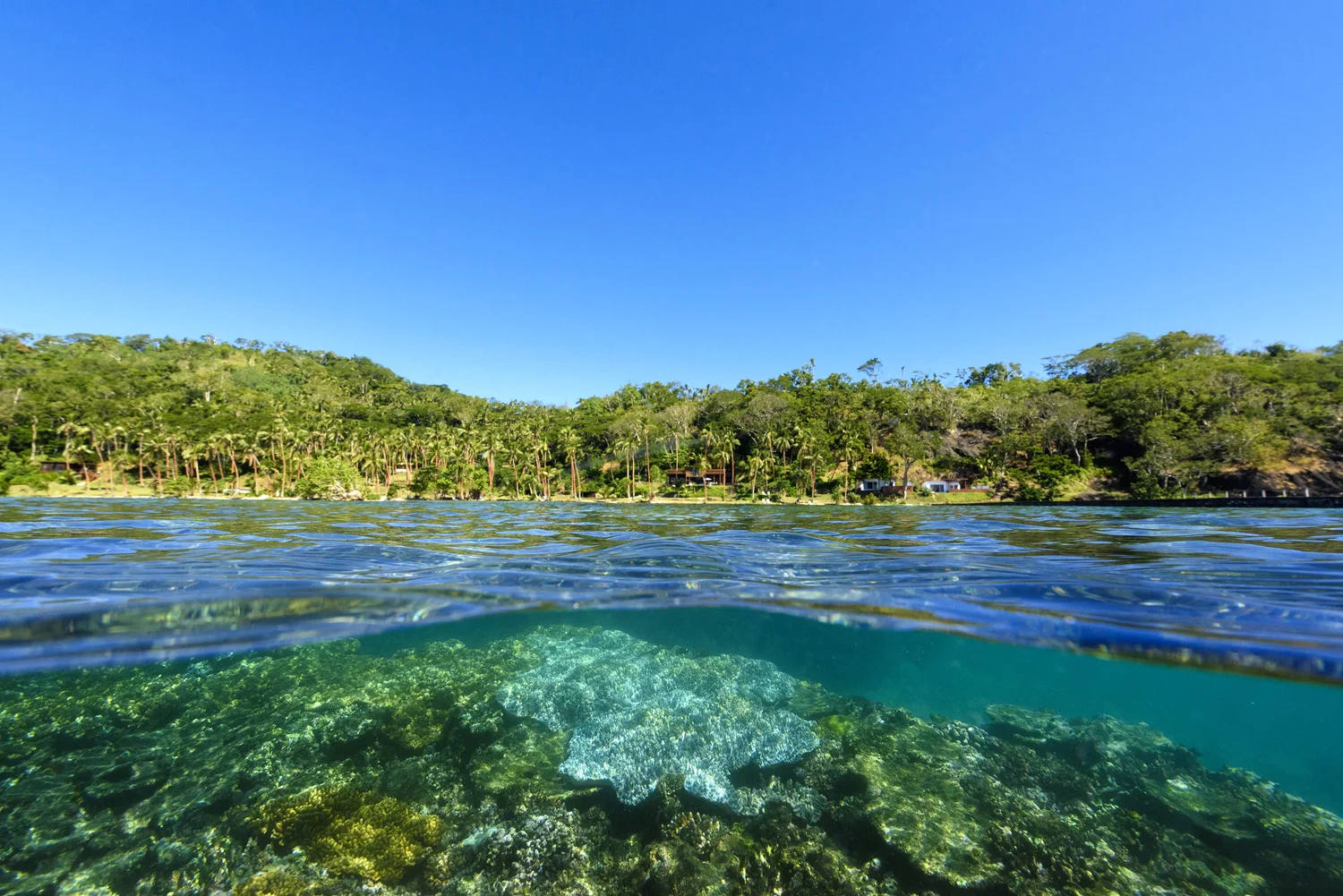 The Remote Resort Fiji Islands | Boutique Luxury Fiji Resort | Best for ...