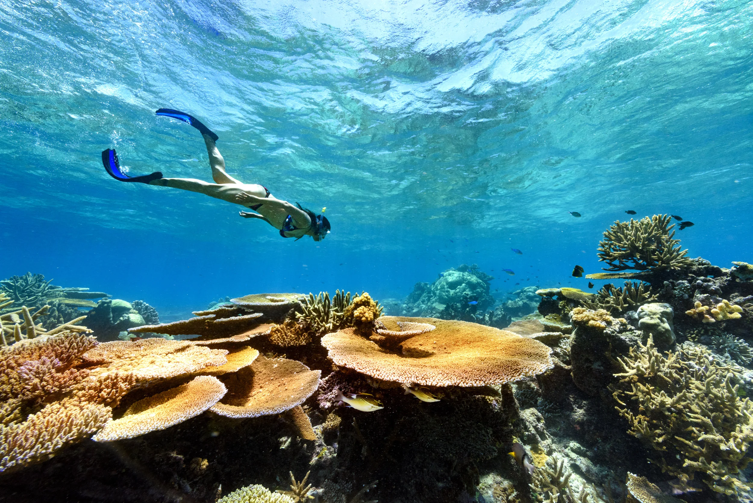 Underwater Resort Fiji