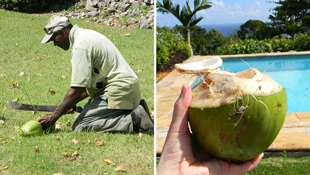 Butler's Journal — Butler's House & Cottage. Nevis, West Indies