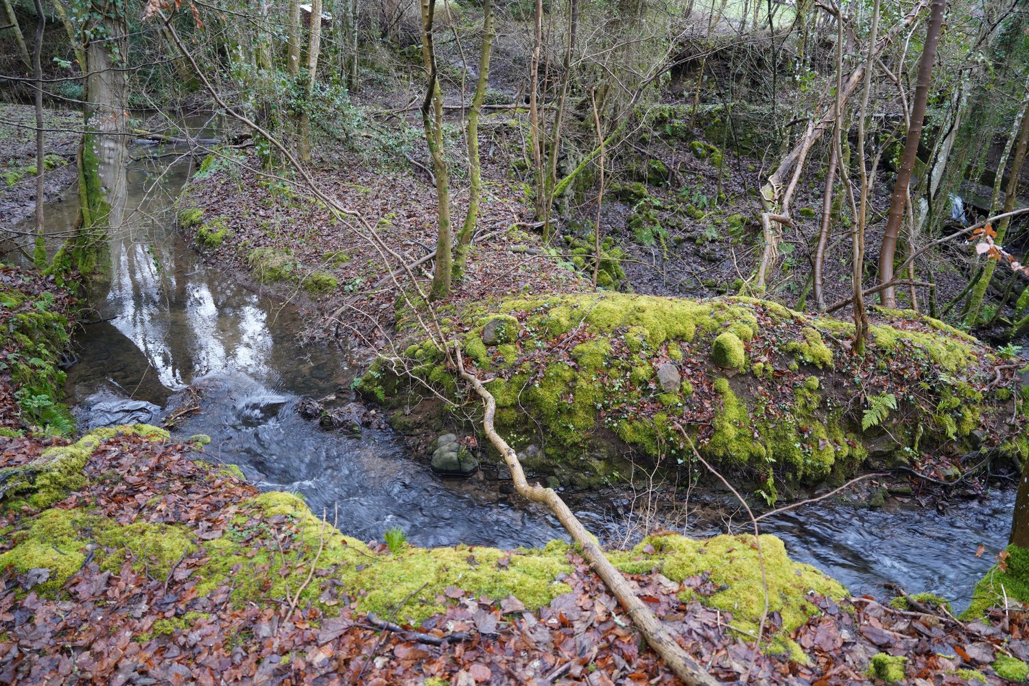 161. Baledgarno Den — Bill Harvey Associates Limited