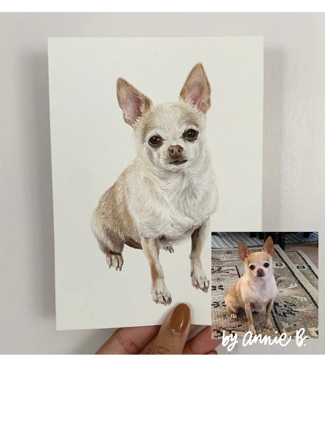 By Annie B. - Colored Pencil Custom Pet Portrait