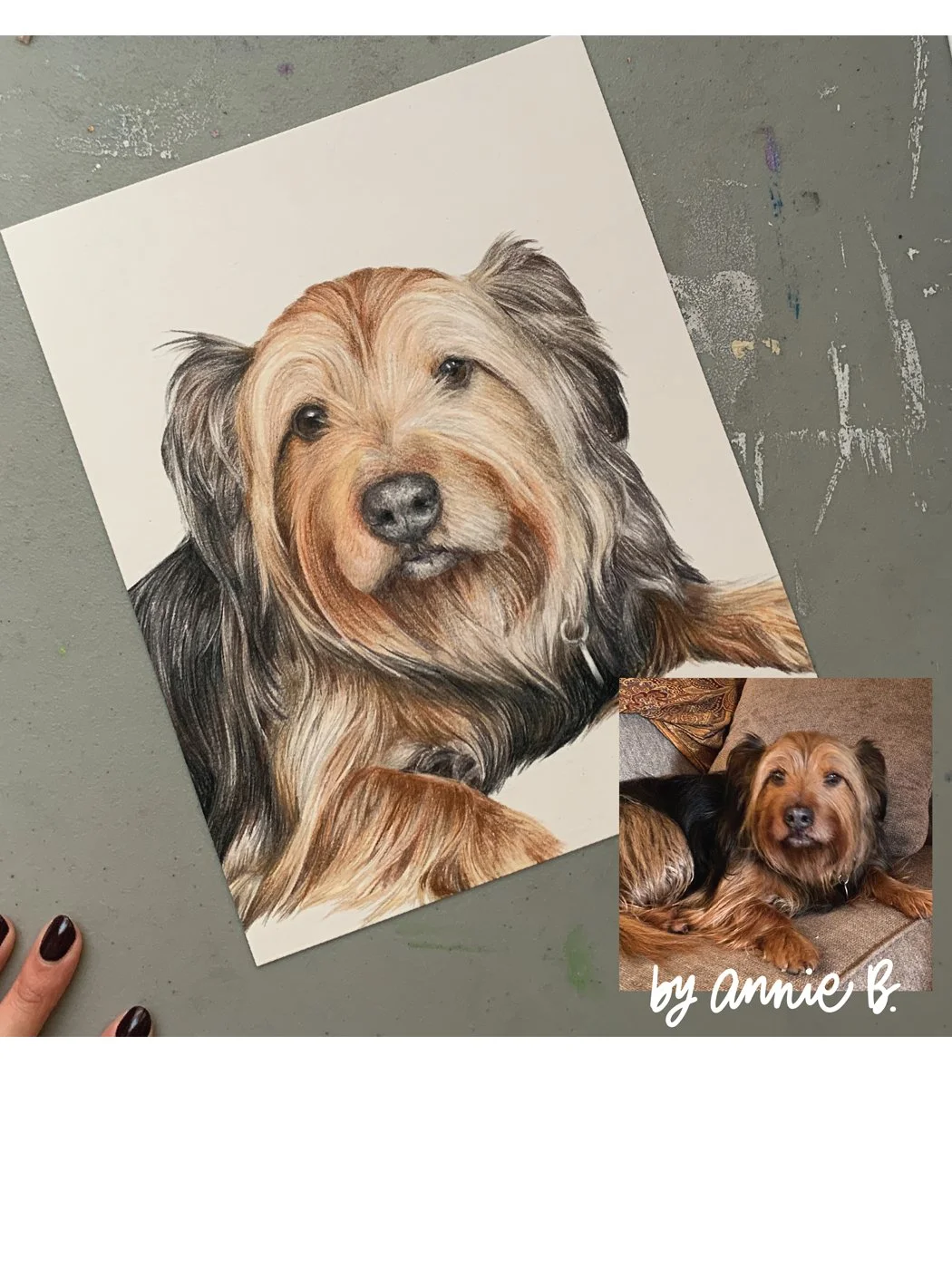 By Annie B. - Colored Pencil Custom Pet Portrait