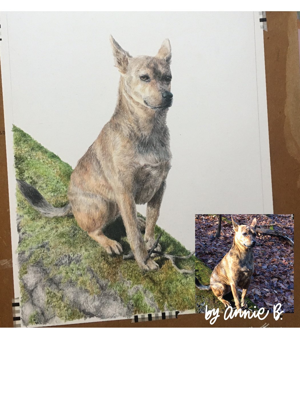 By Annie B. - Colored Pencil Custom Pet Portrait