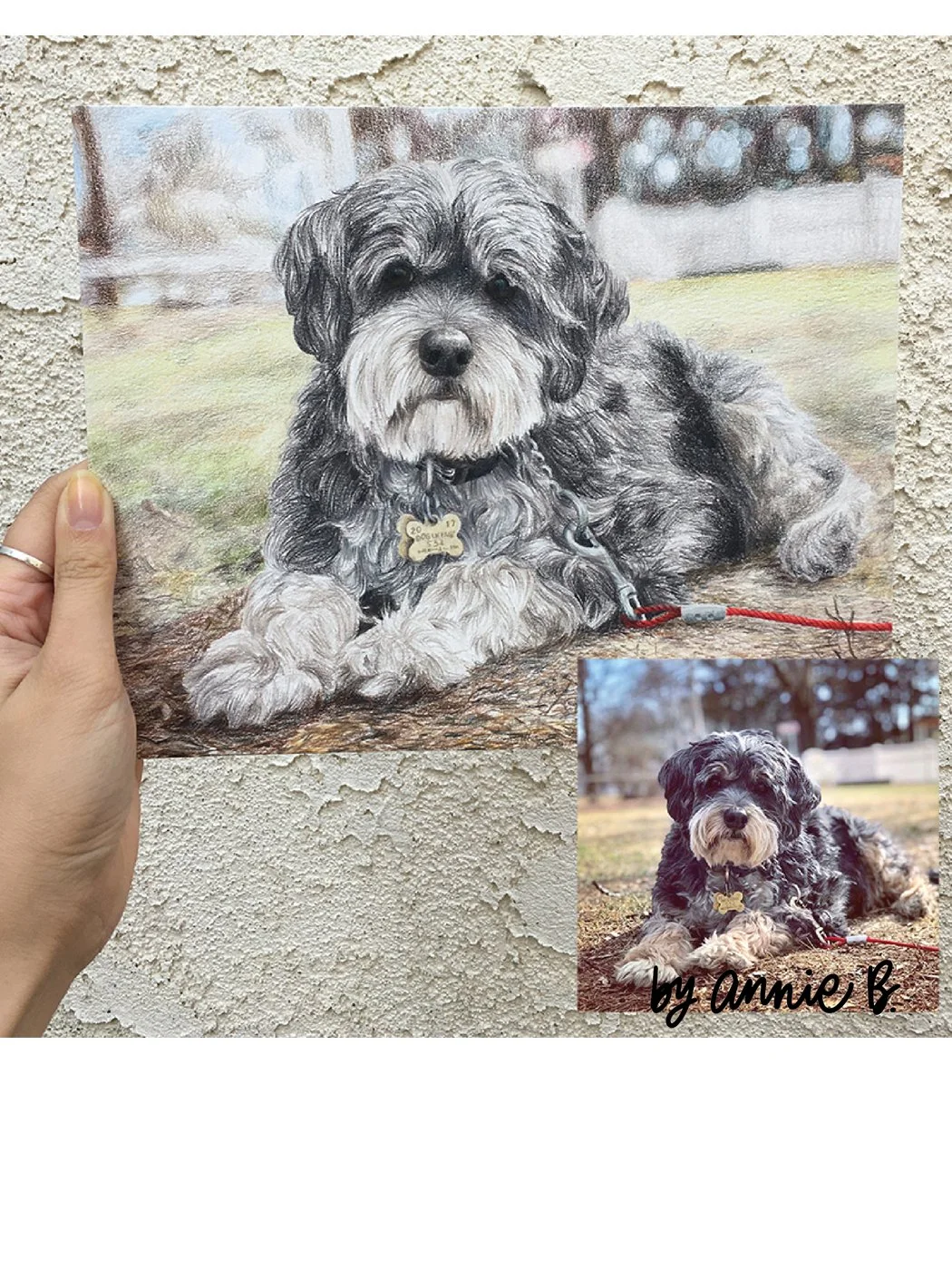 By Annie B. - Colored Pencil Custom Pet Portrait