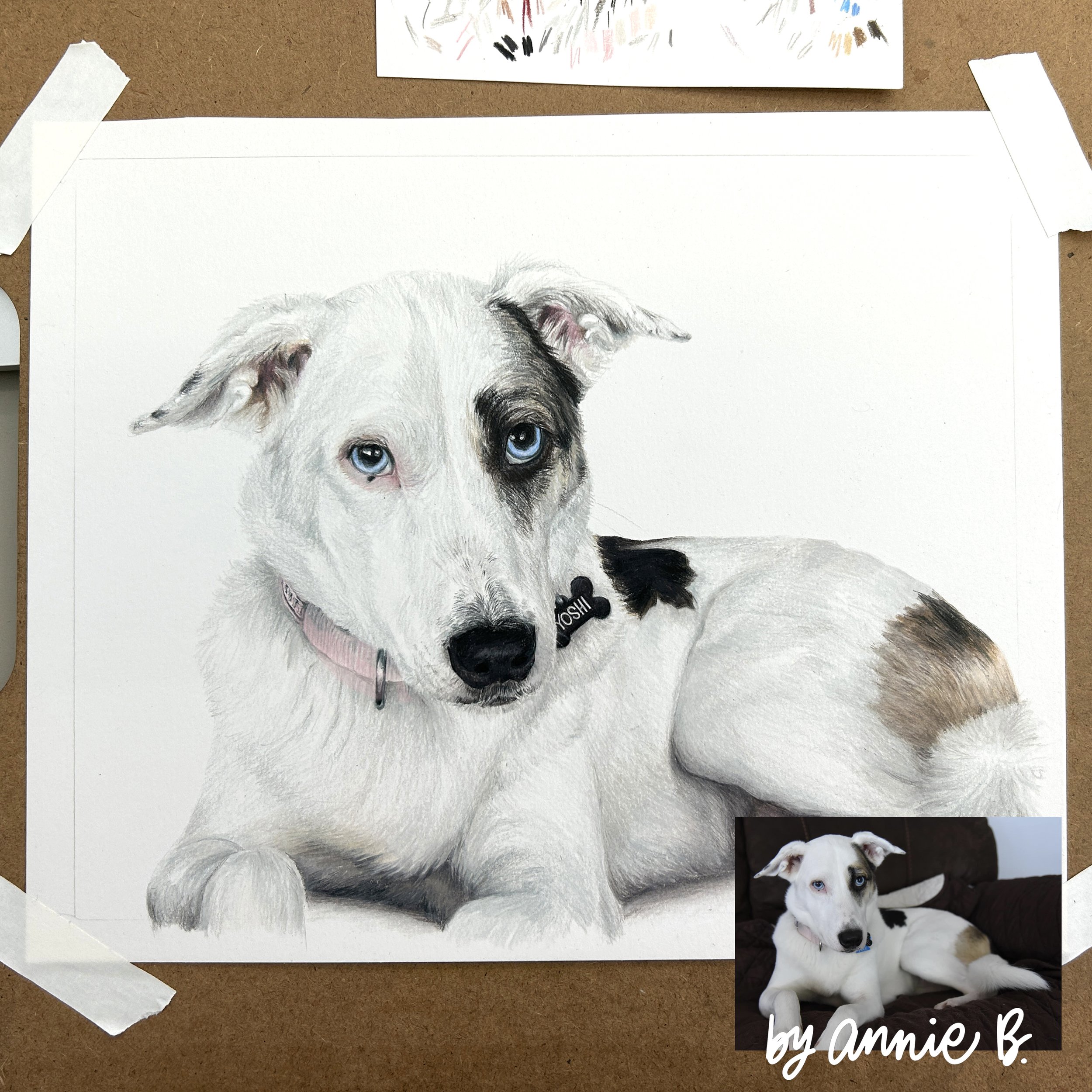 By Annie B. - Colored Pencil Custom Pet Portrait