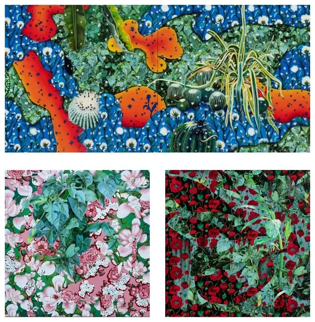 Sarah Jacobs Artwork