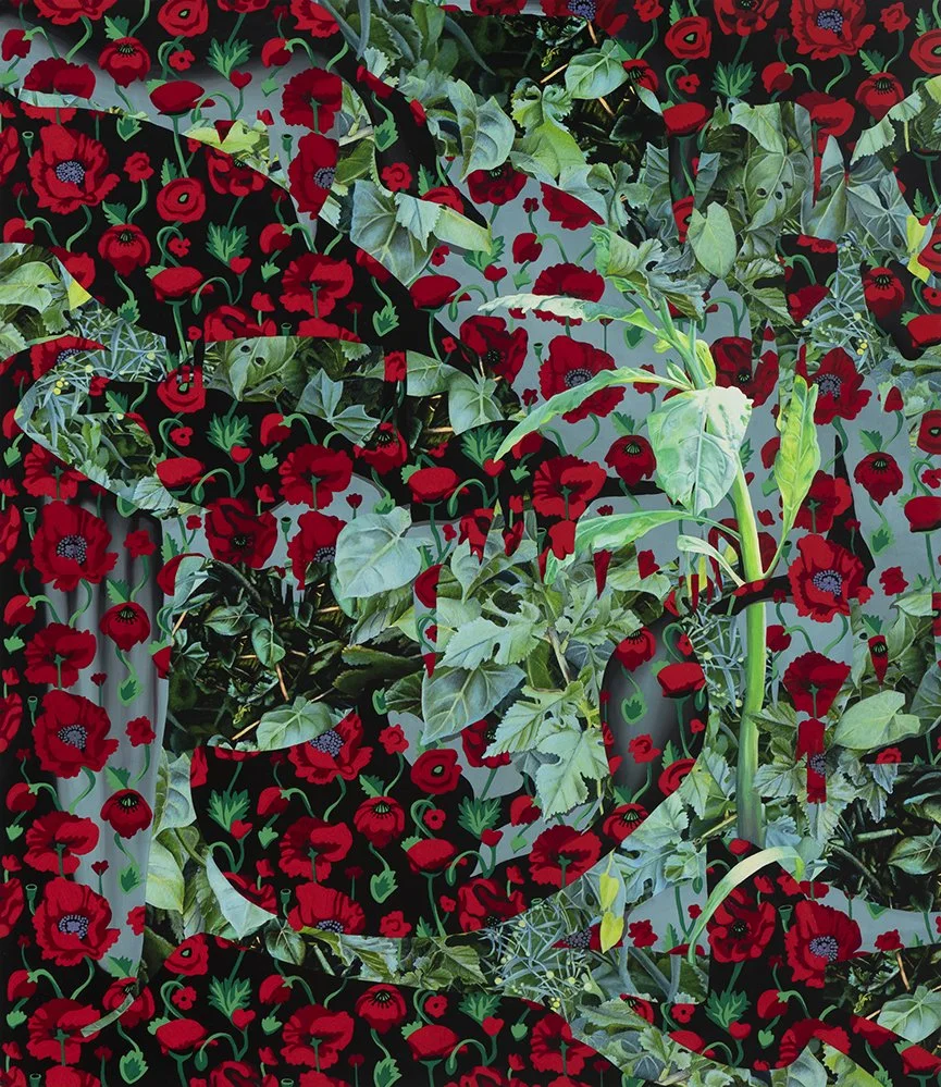 Sarah Jacobs Artwork