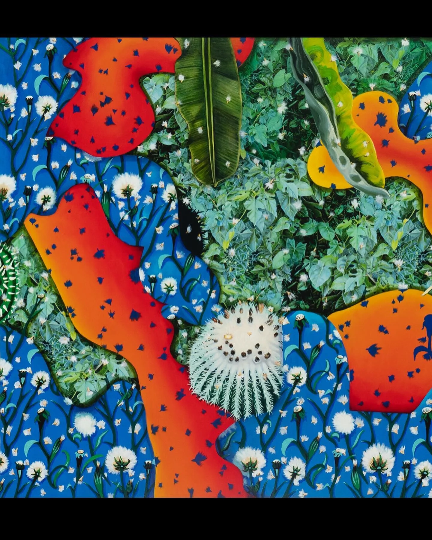 Sarah Jacobs Artwork