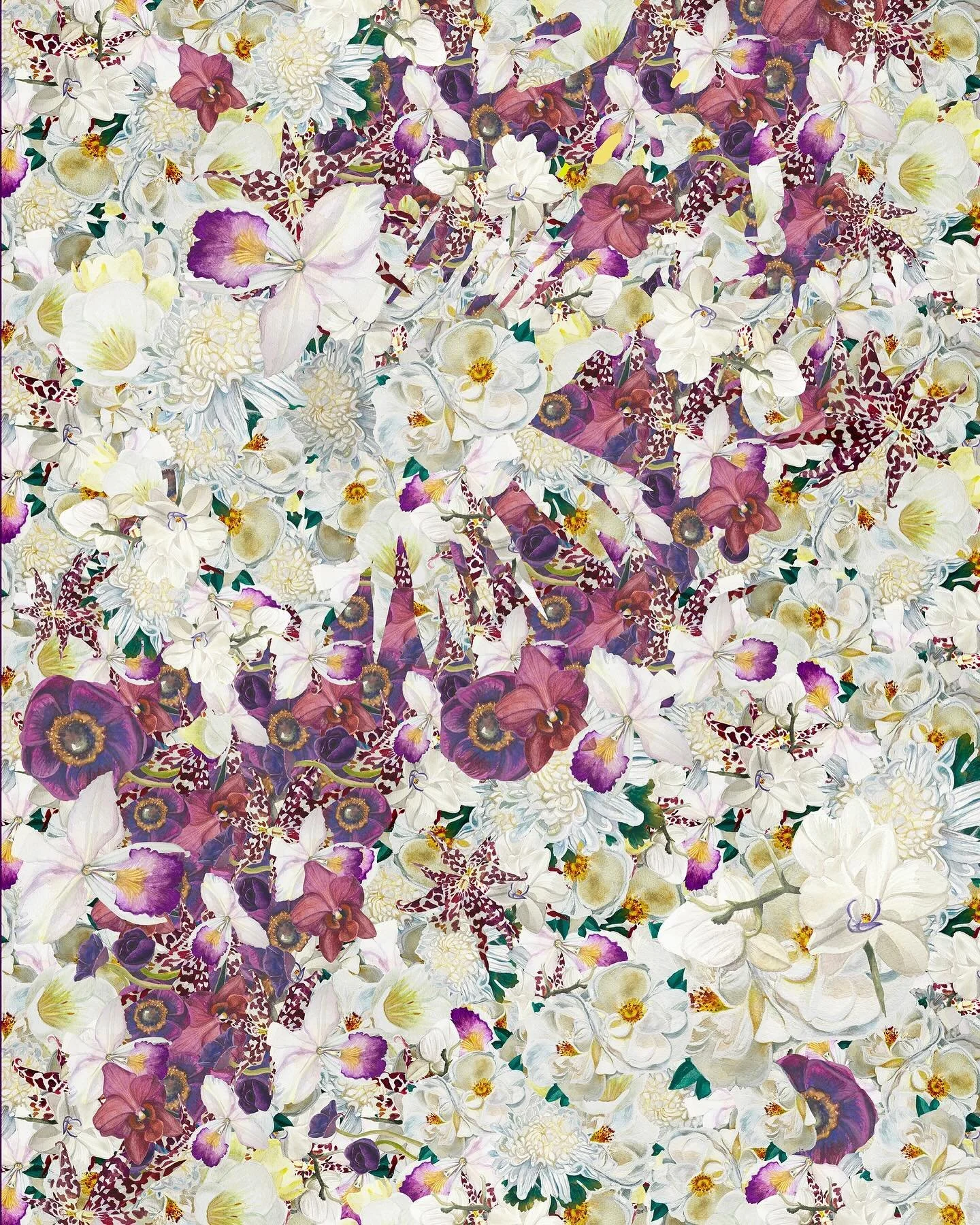 Sarah Jacobs Artwork