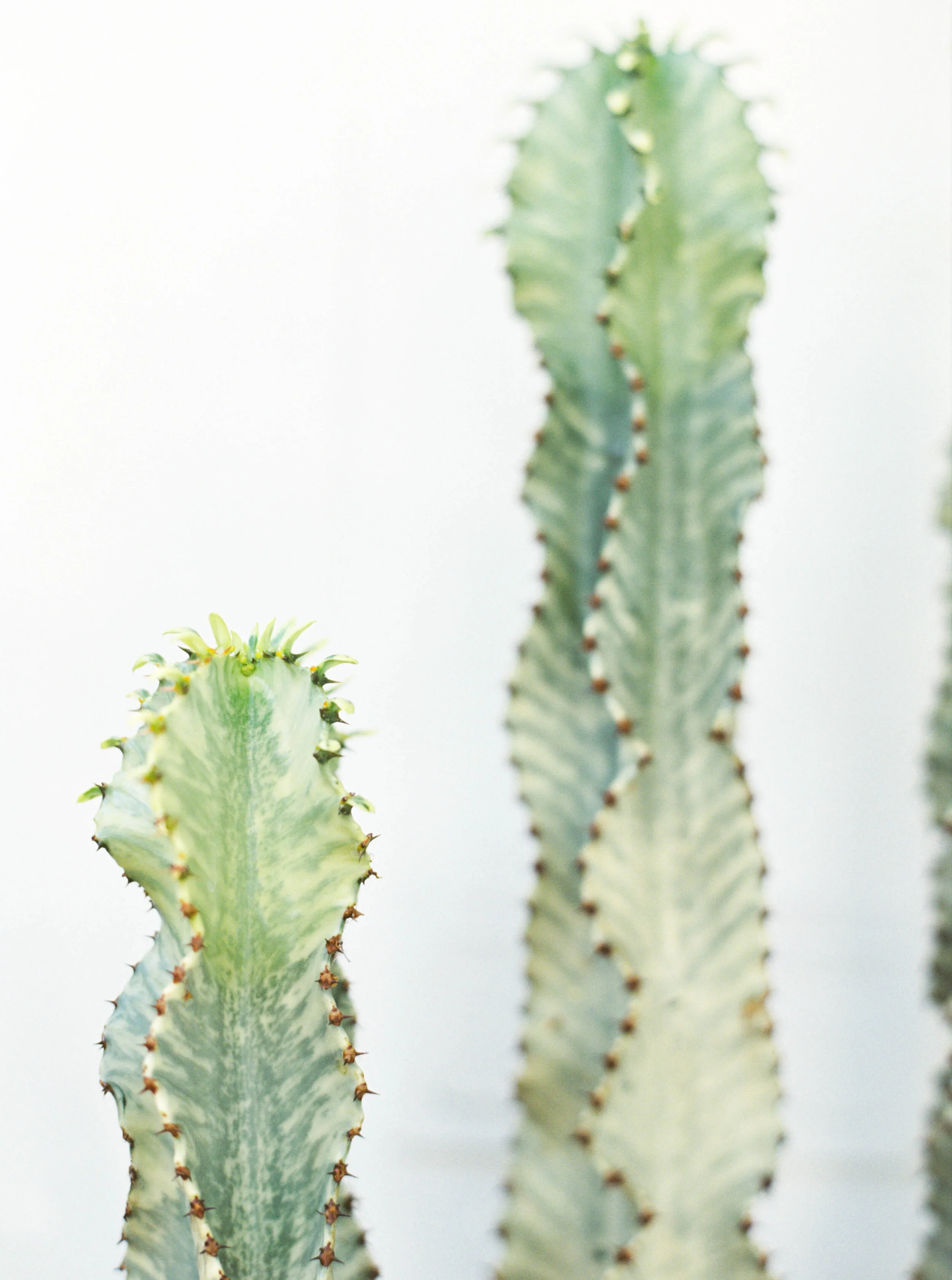 Kate Keating Photography