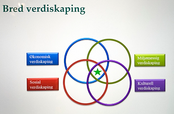Villreinfjellet som verdiskaper – digital samling | Villrein