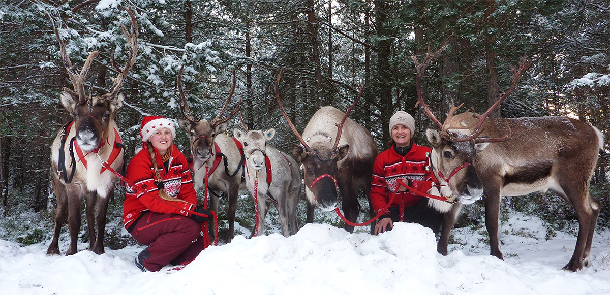 Rudolf – korleis oppstod myten? | Villrein