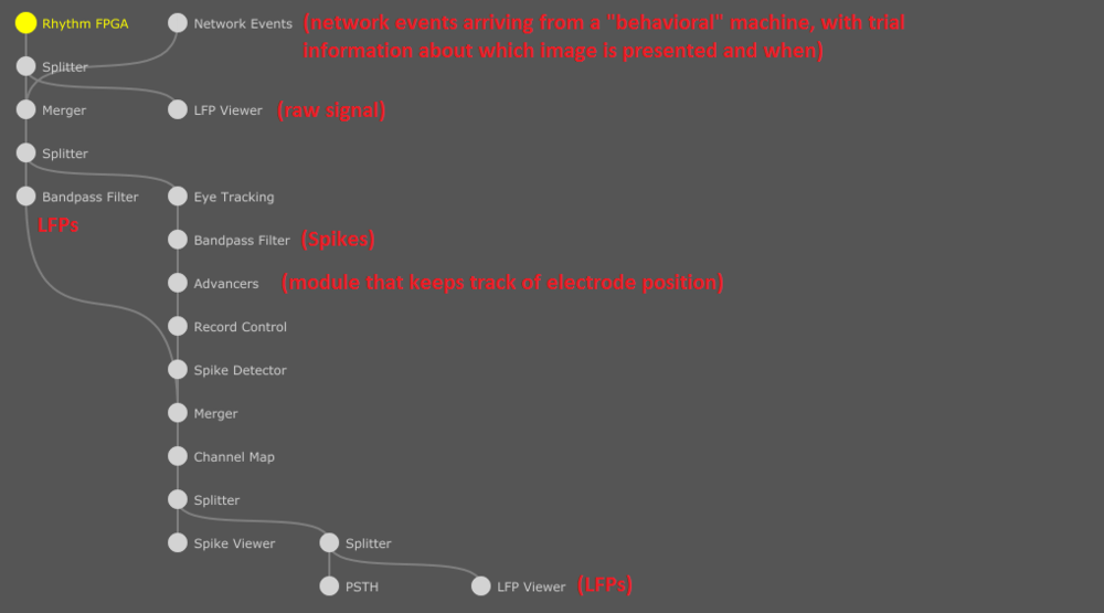 First recording in NHP & real time analysis — Open Ephys
