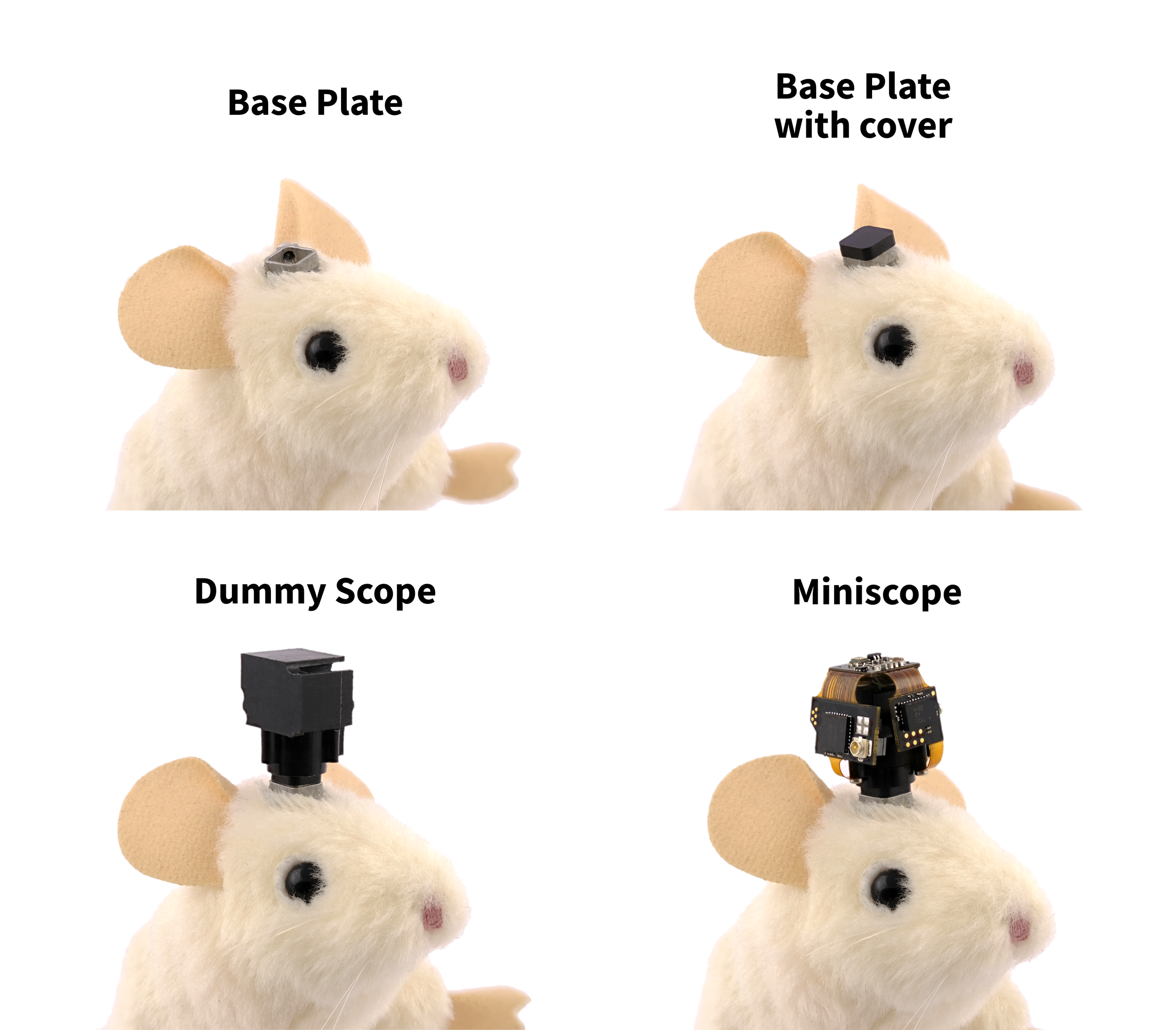 Miniscope System — Open Ephys