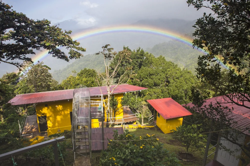 Rooms & Reservations — The Lost and Found Jungle Hostel