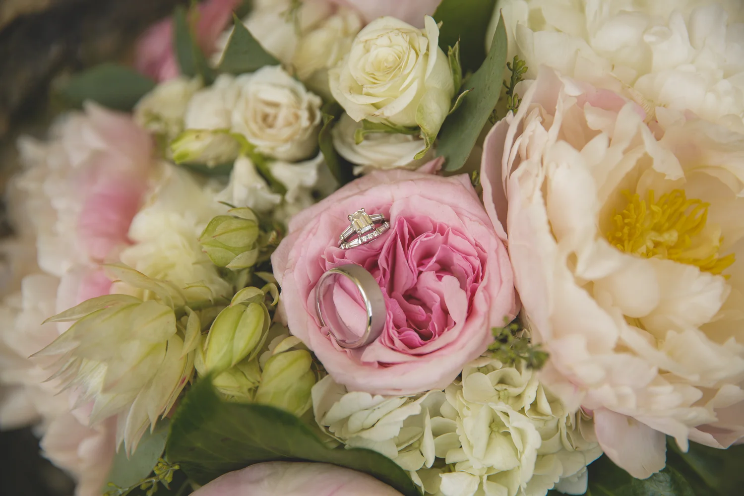 Nick + Janet | Mayowood Stone Barn — Daniel Dinsmore Photography