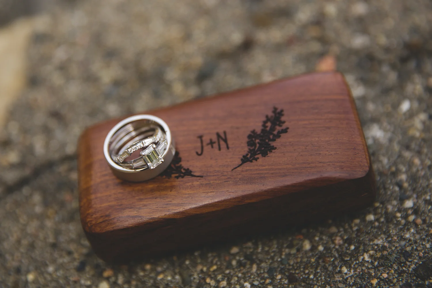 Nick + Janet | Mayowood Stone Barn — Daniel Dinsmore Photography