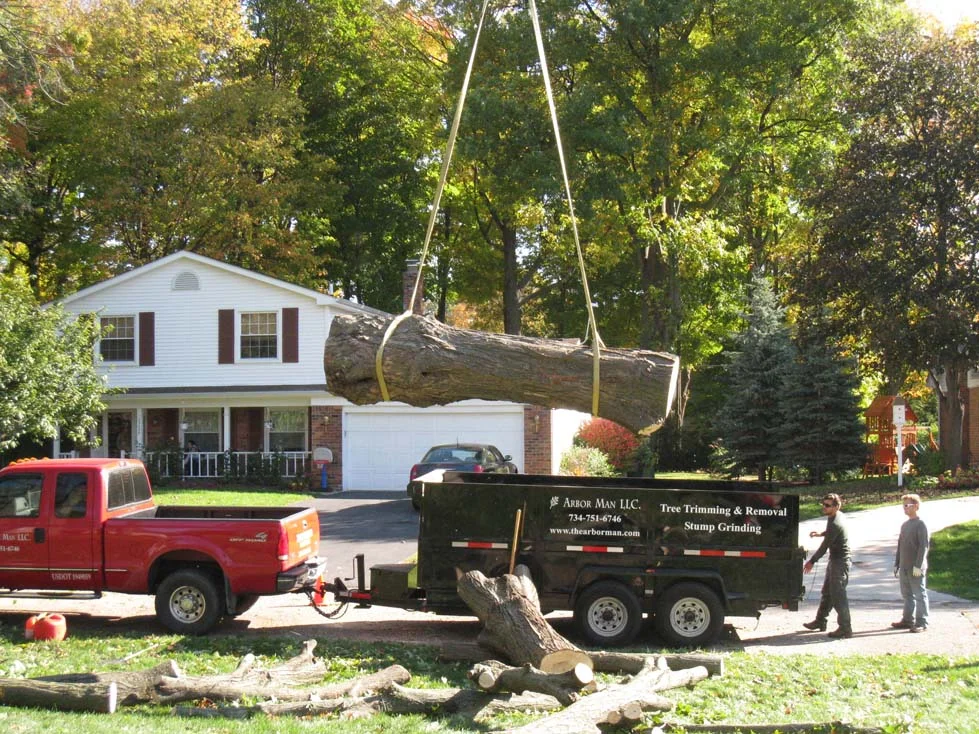 Tree-Purposed Detroit | Michigan Live Edge Slabs | Reclaimed Wood