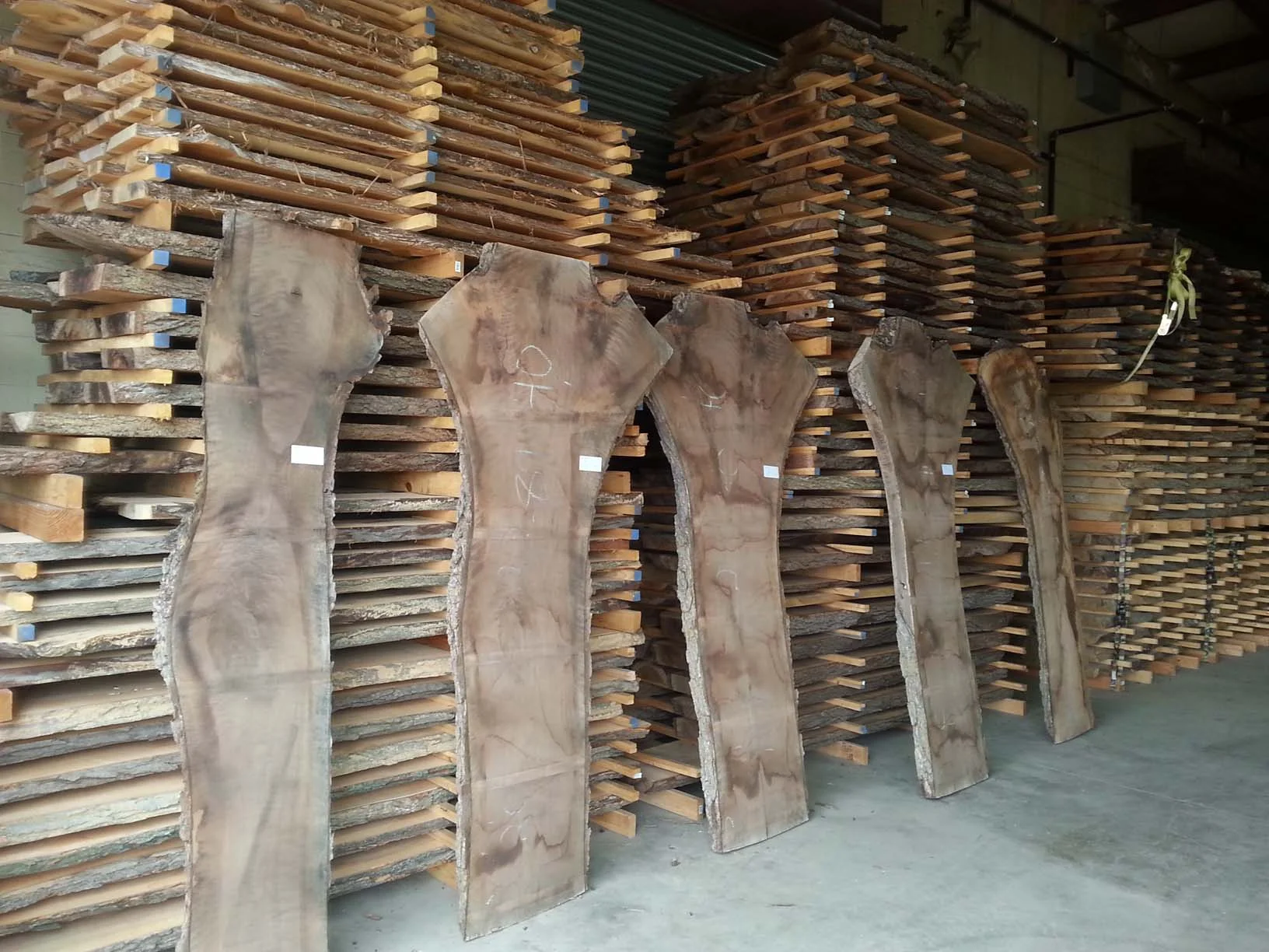 Tree-Purposed Detroit | Michigan Live Edge Slabs | Reclaimed Wood