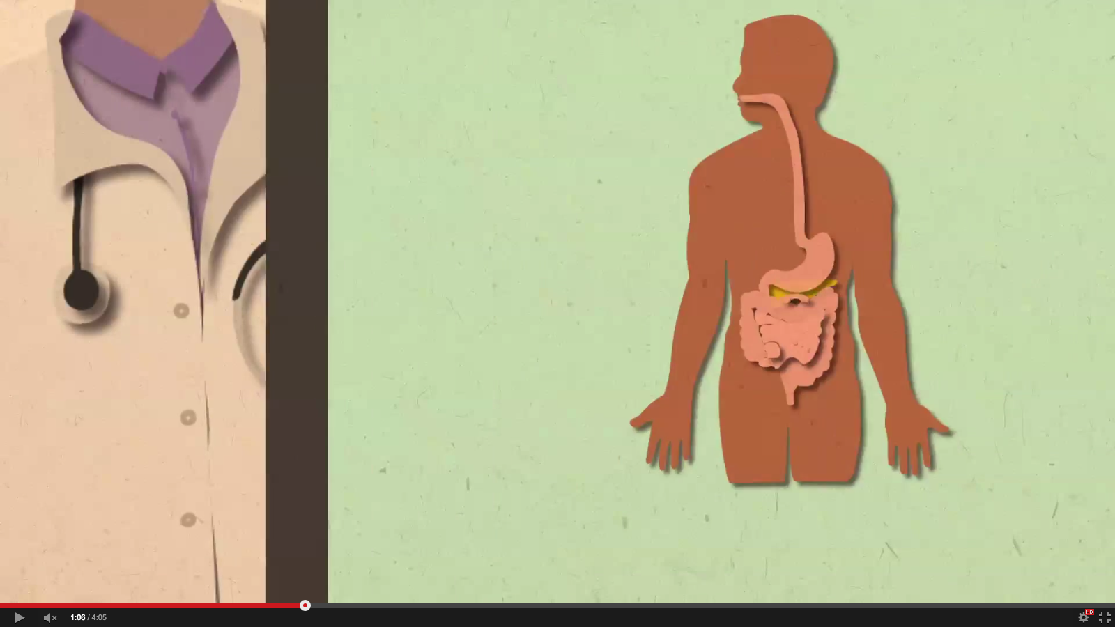 Animation — Nirja Desai