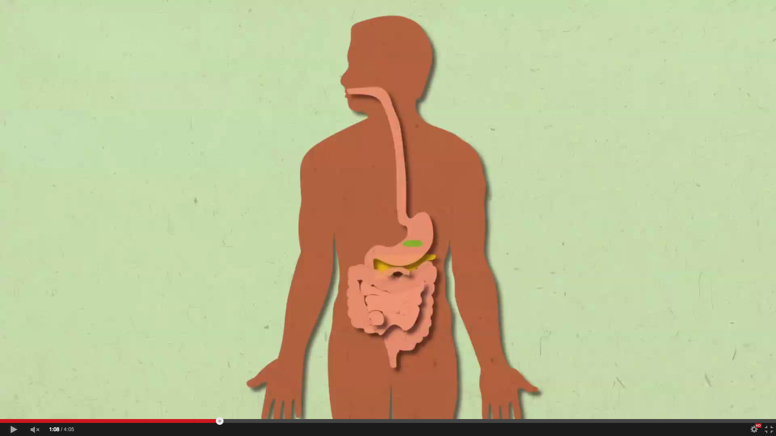 Animation — Nirja Desai