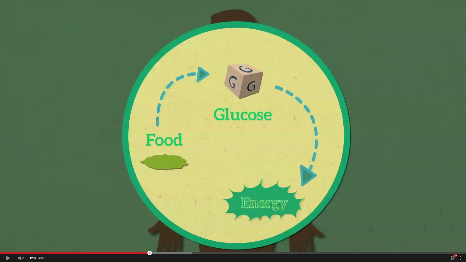 Animation — Nirja Desai