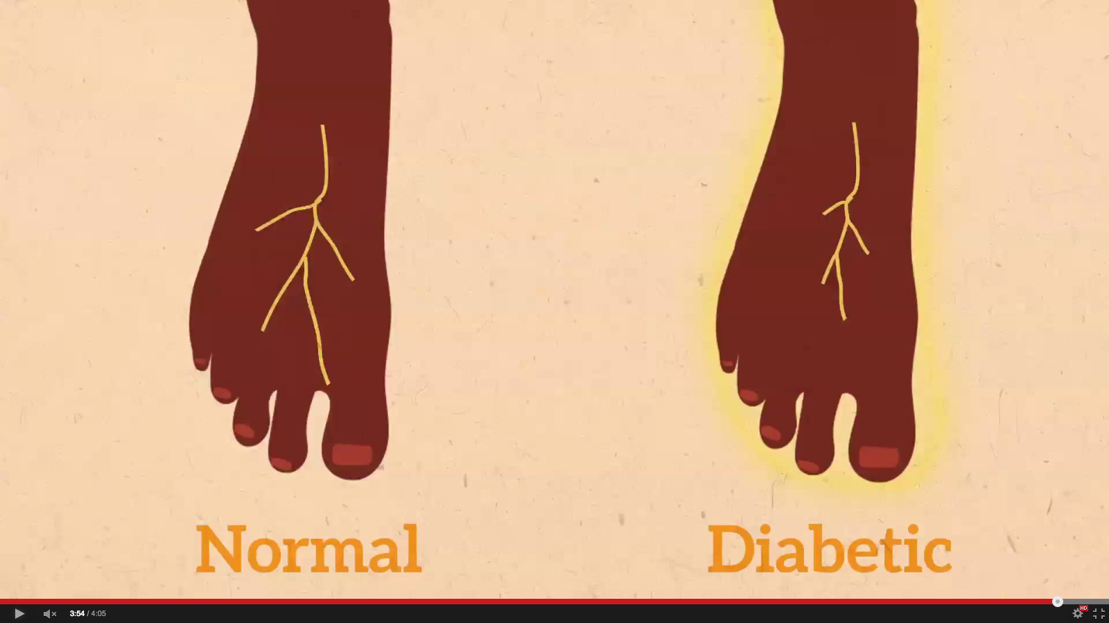 Animation — Nirja Desai