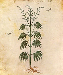 Hemp History — HempWorks