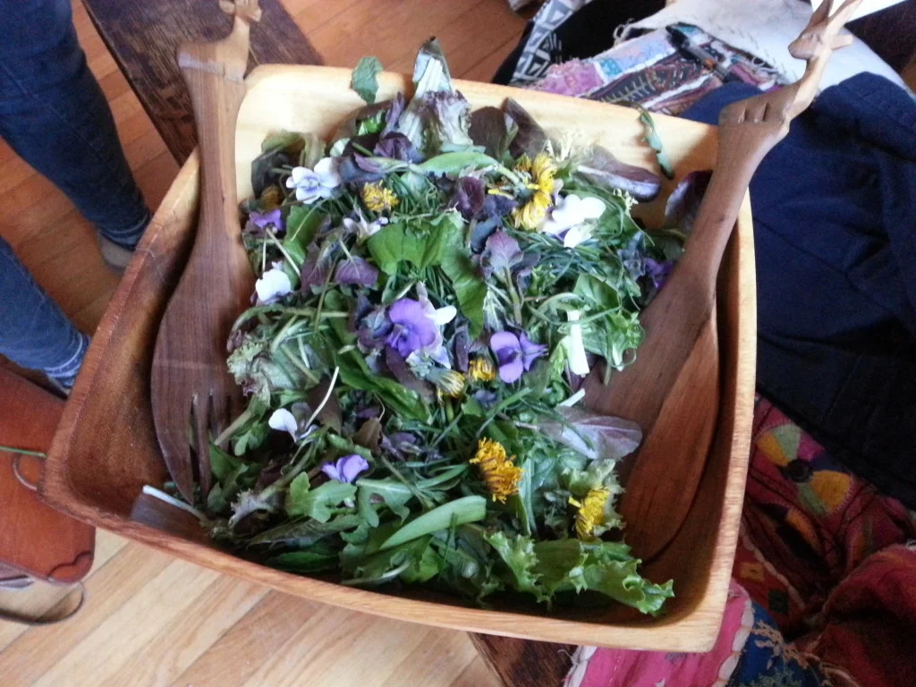 Wild Salad: A Spring Delicacy! — Milk & Honey Herbs