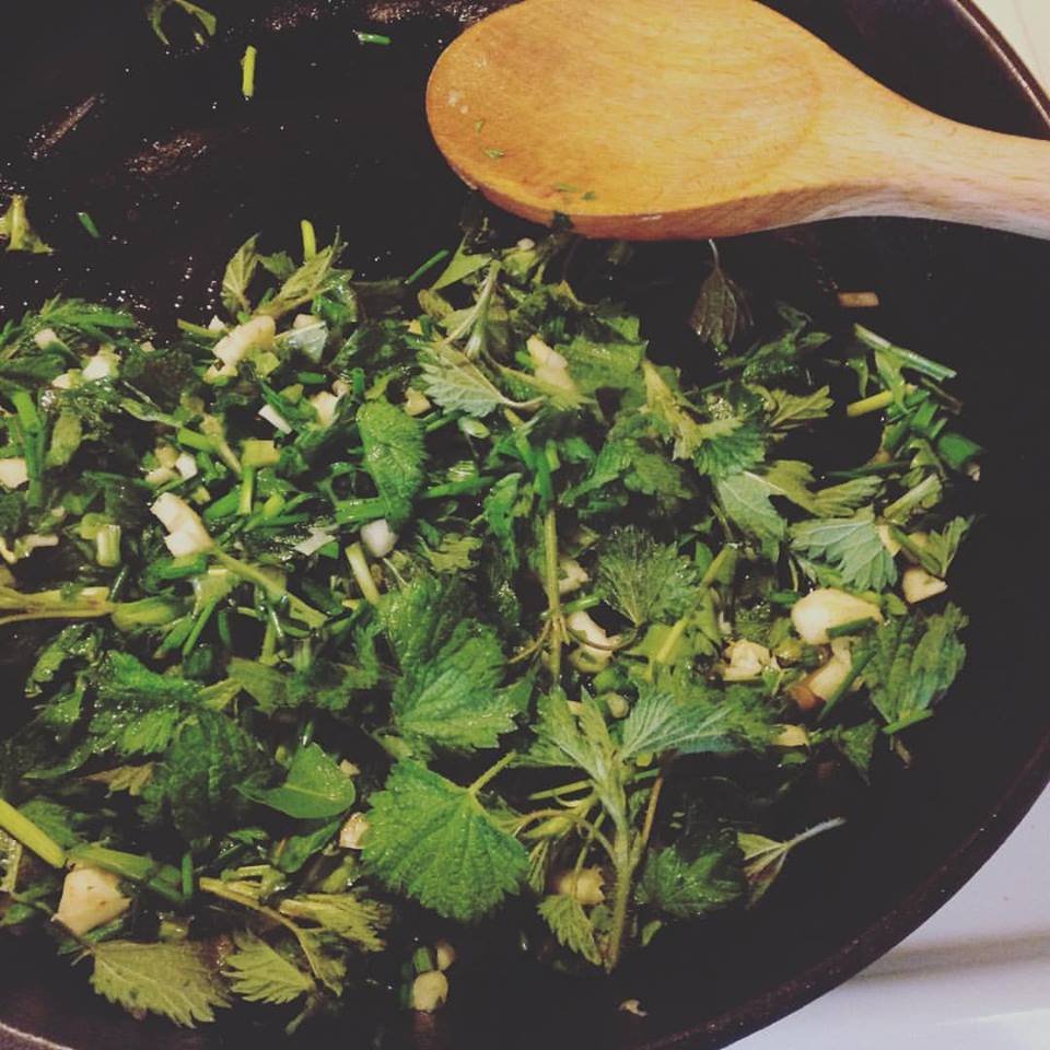 Spring Greens Frittata — Milk & Honey Herbs