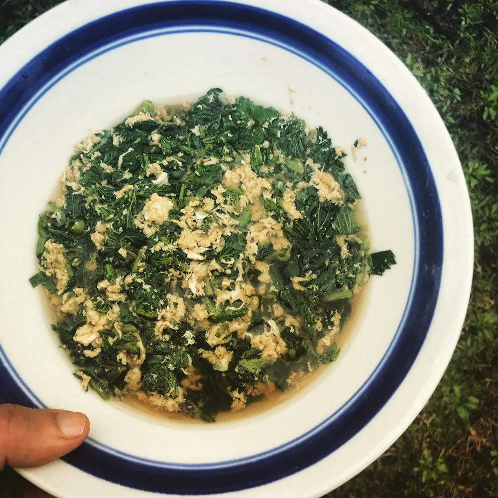 Nettle Stracciatella — Milk & Honey Herbs