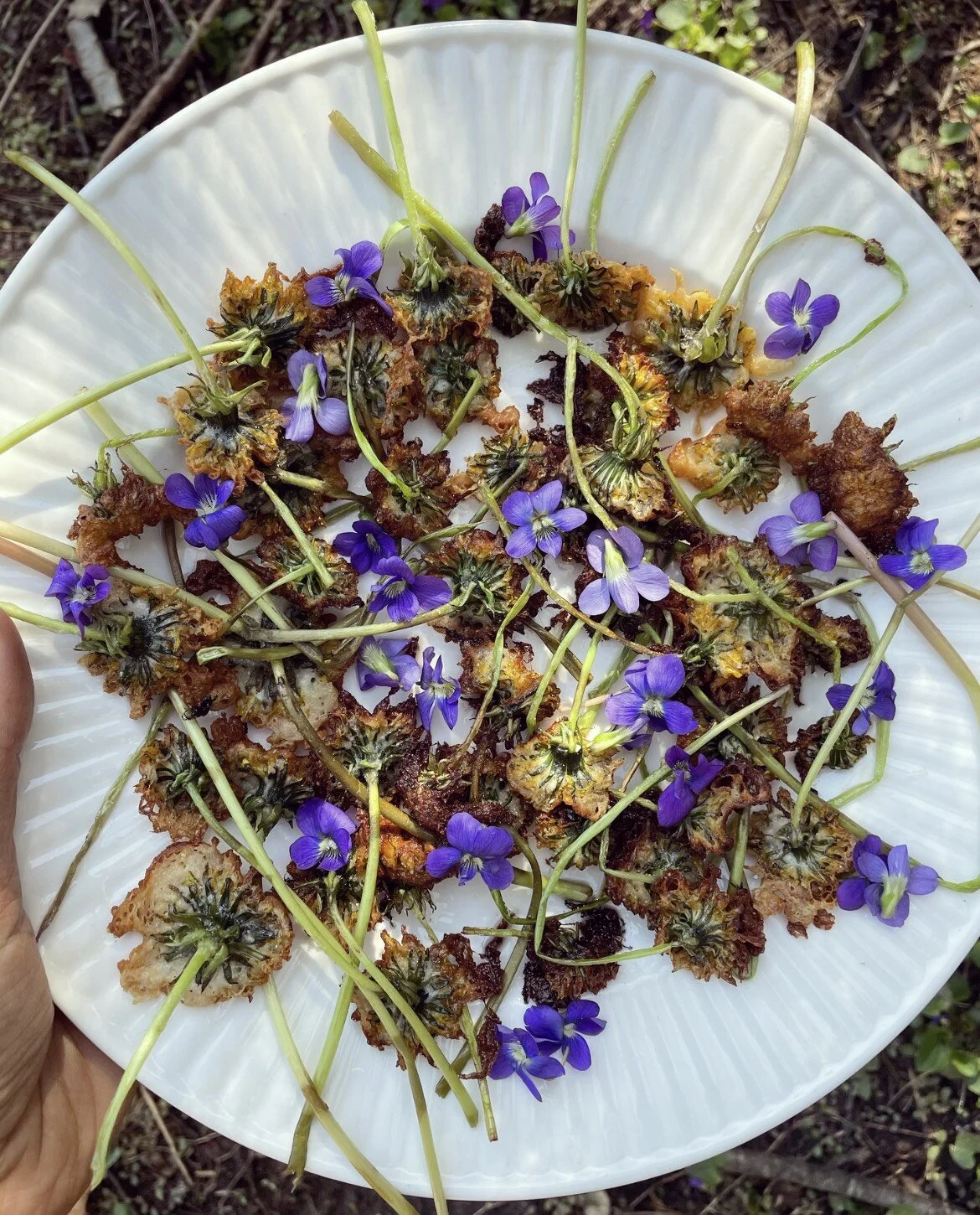 Dandelion Flower Fritters with Wild Rose-Infused Honey — Milk & Honey Herbs