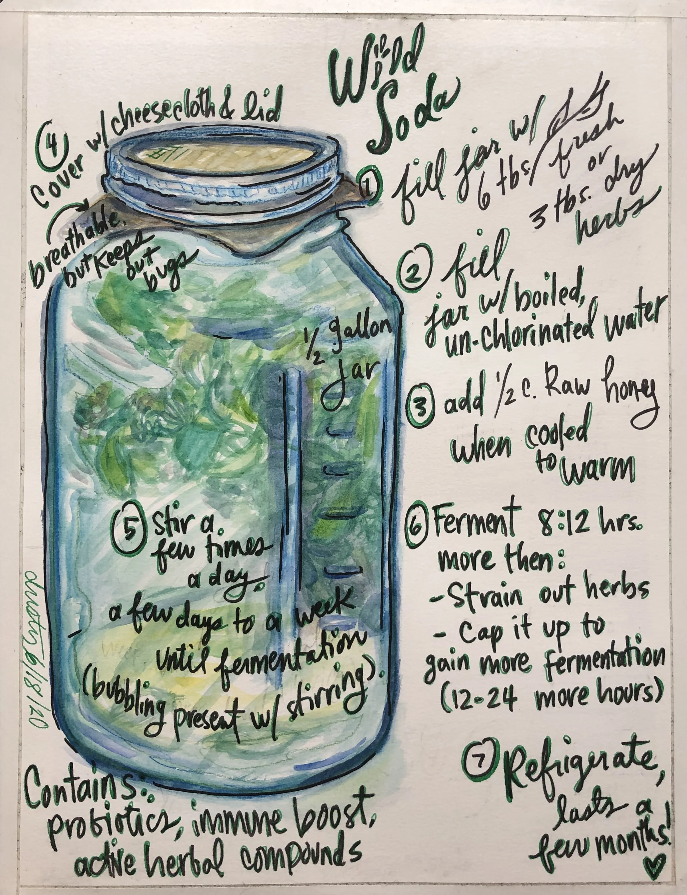 Making Wild Herbal Sodas — Milk & Honey Herbs