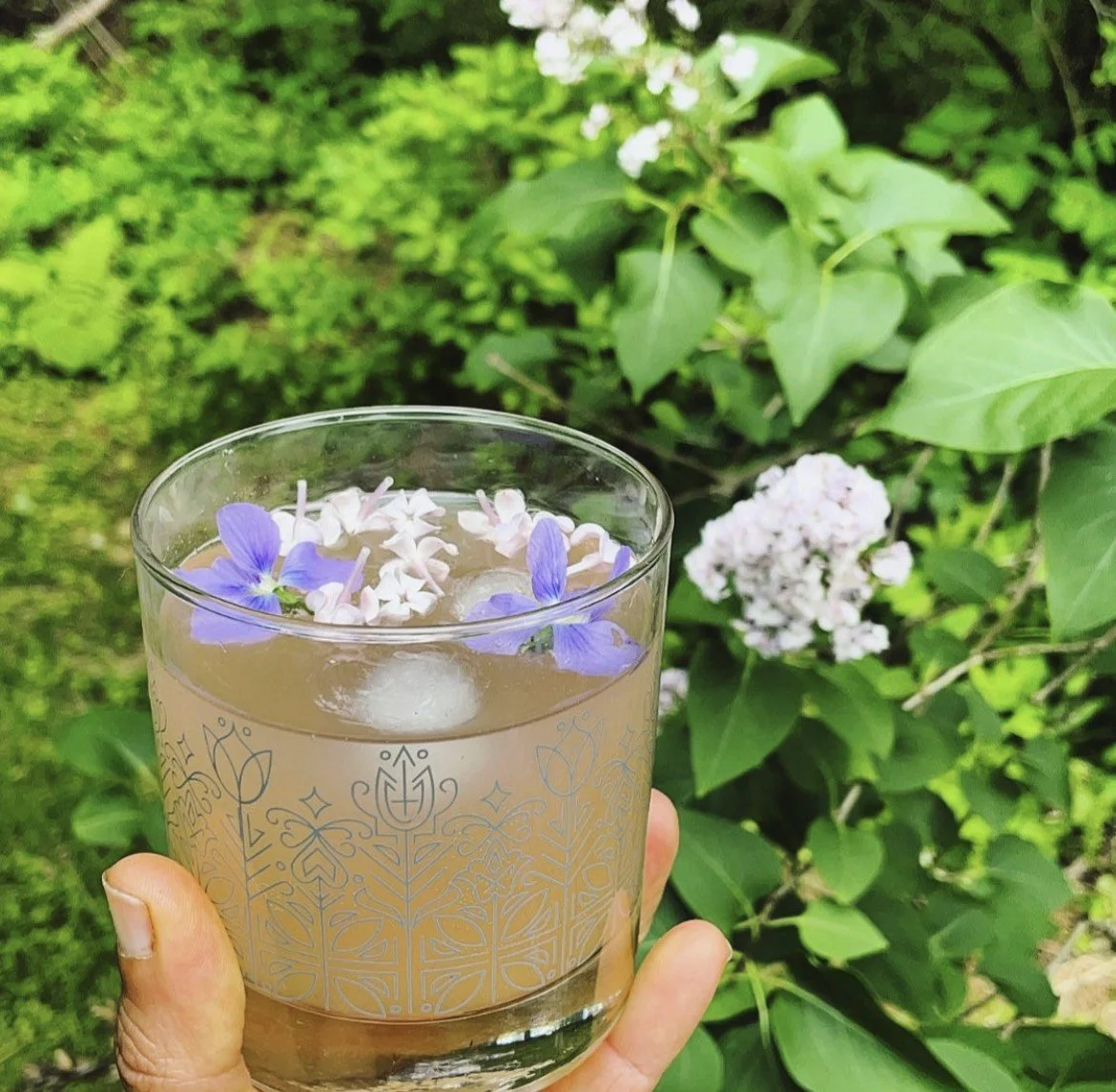 Making Wild Herbal Sodas — Milk & Honey Herbs