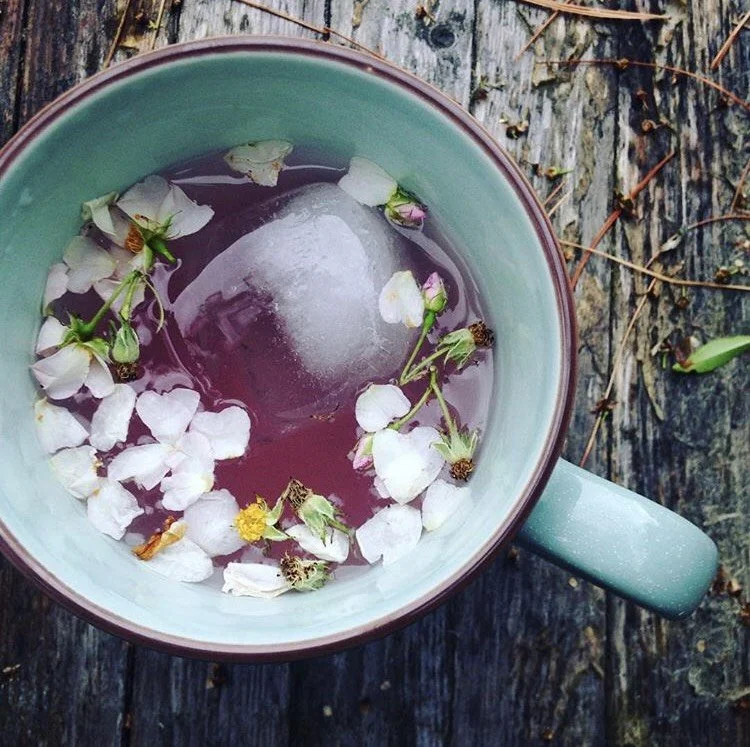 Making Wild Herbal Sodas — Milk & Honey Herbs