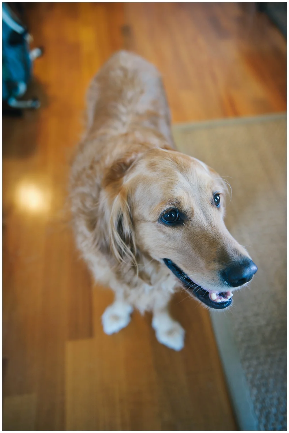 Newborn | Welcome Baby Greyson — April K Photo