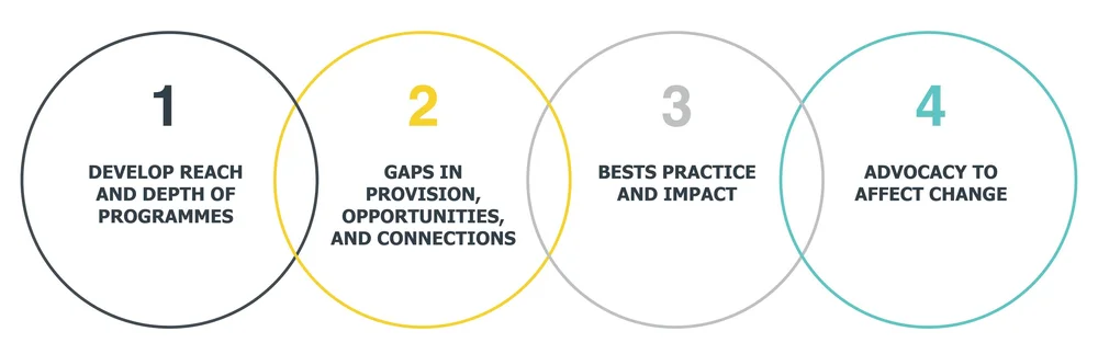 Strategic Framework Launch — Solas Project
