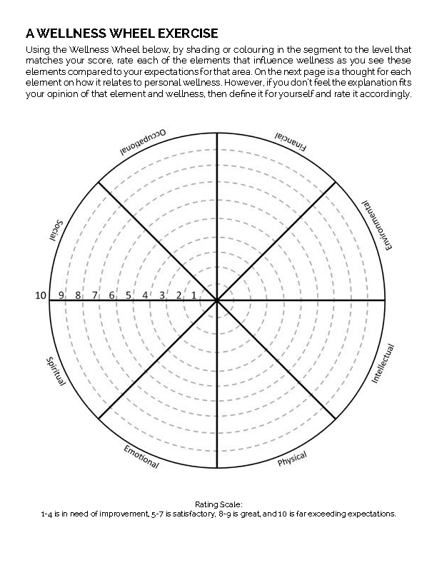 Wellness Wheel — Humanautics