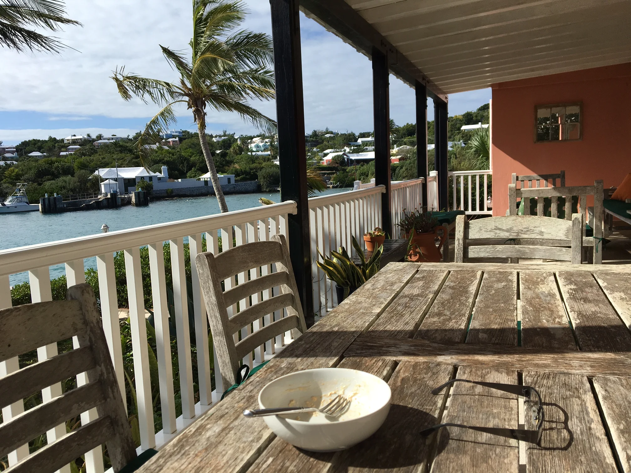 Big news from Bermuda! — Vicki Norman Studio