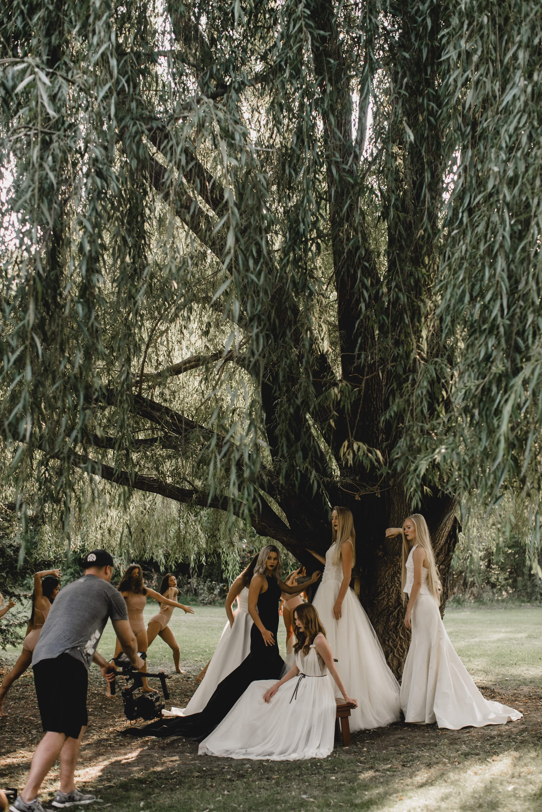 Tara LaTour 2018 Collection — acowsay