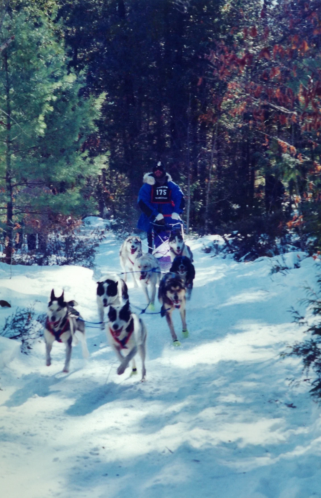 1997 & 1998 Snofest — MarmoraHistory.ca