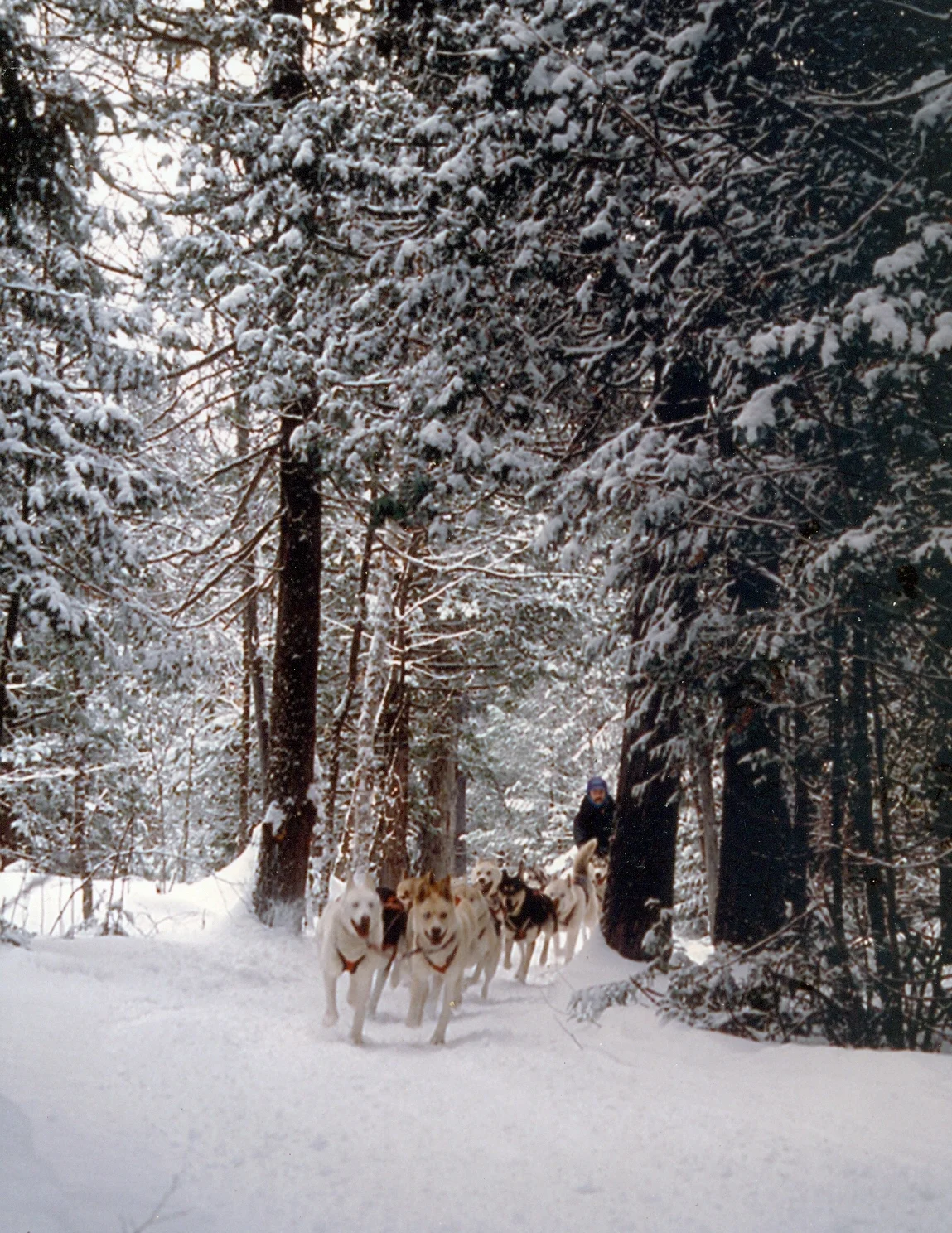 Snofest — MarmoraHistory.ca