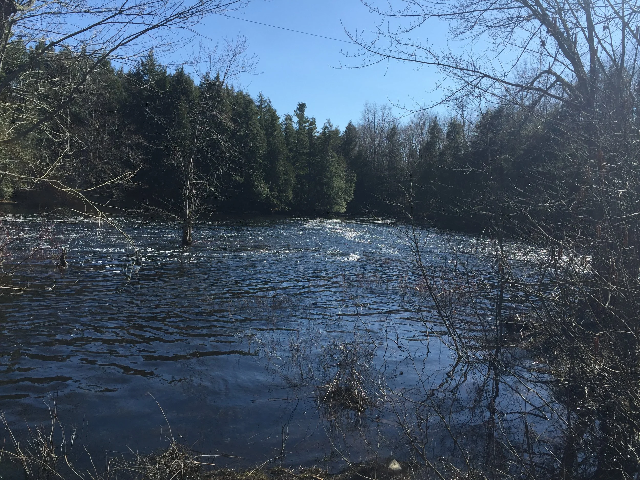 Houses in the Township — MarmoraHistory.ca