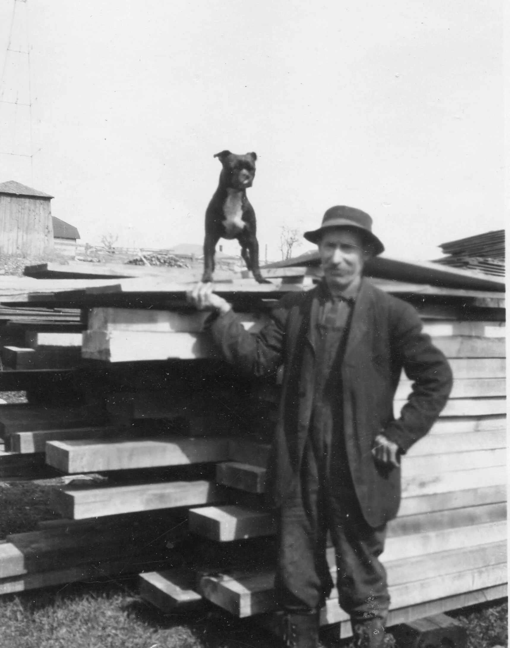 Gaffney Gallery — MarmoraHistory.ca