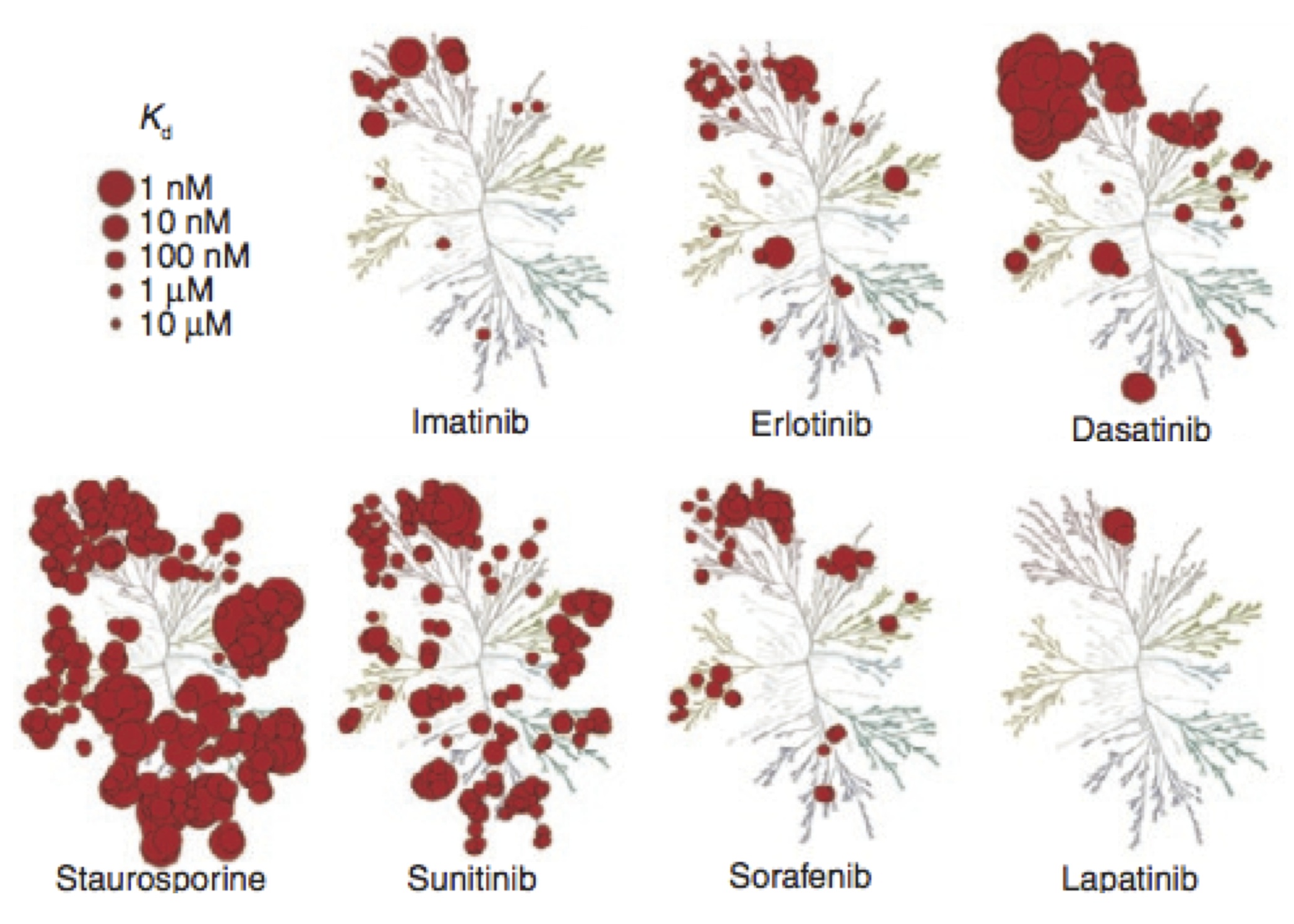 Kinase inhibitor selectivity and design — Chodera lab // MSKCC