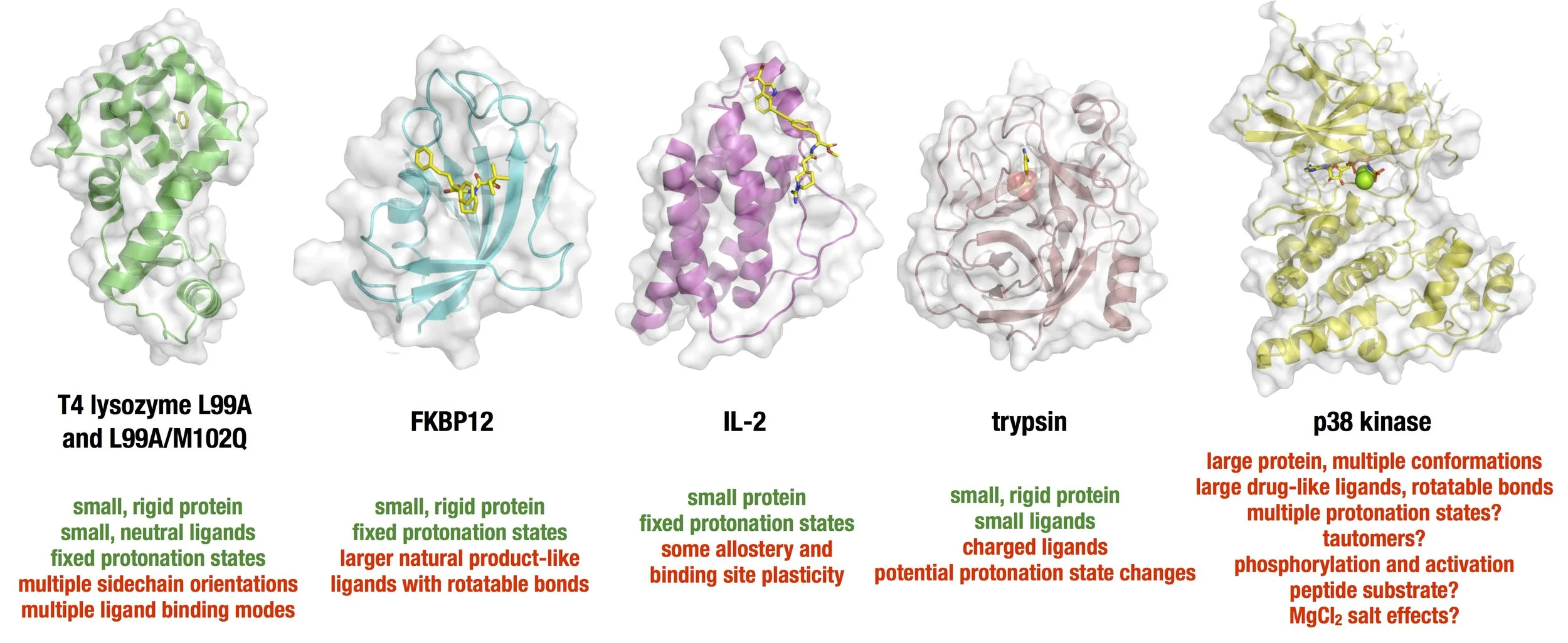 Automated biophysical measurements to drive improvements in physical ...